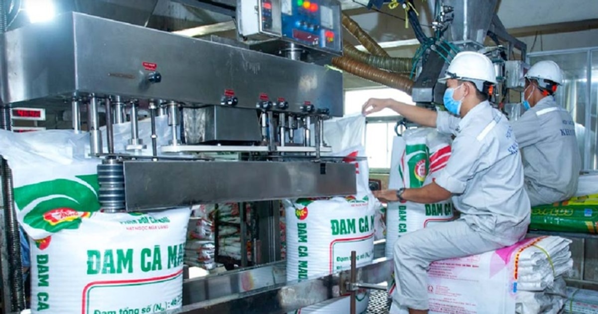 Lực đẩy DCM - TVN & Partners - Tư vấn Quan hệ nhà đầu tư - IR